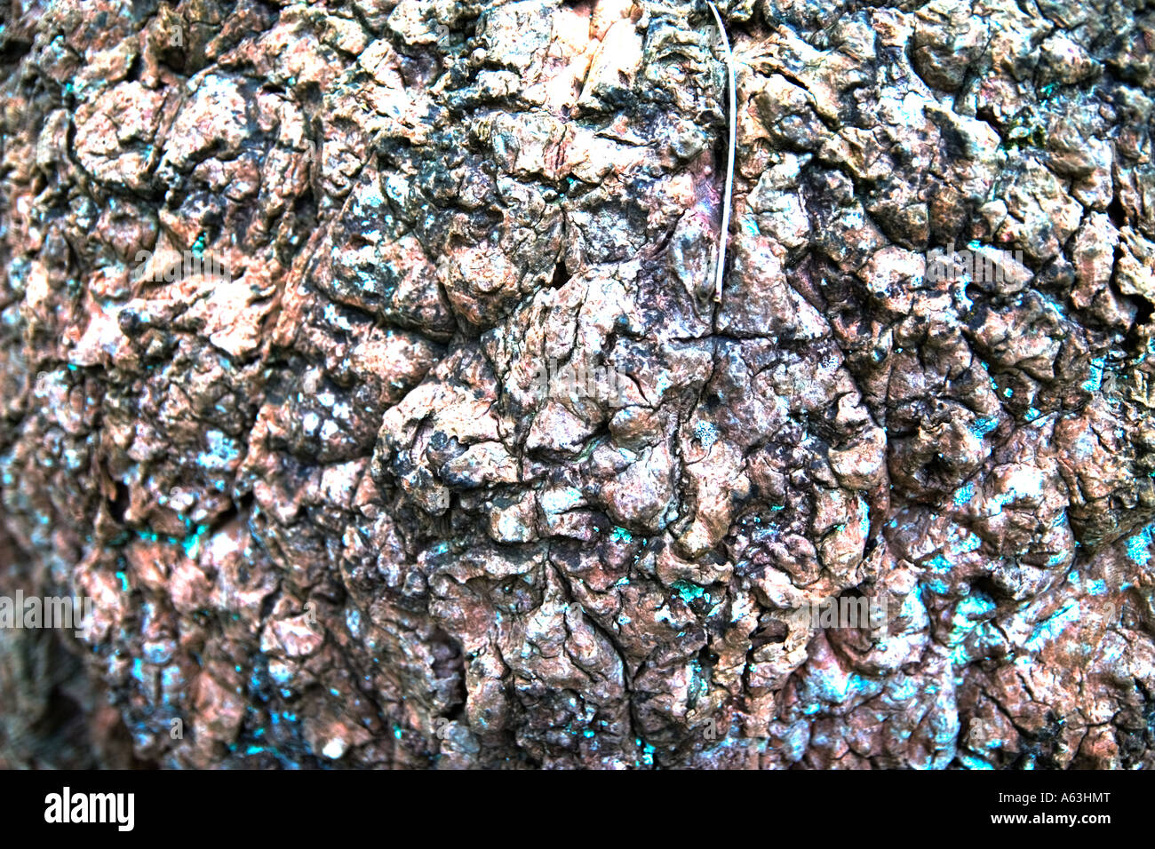 Rough tree bark pattern with blue degraded copper type colors ...