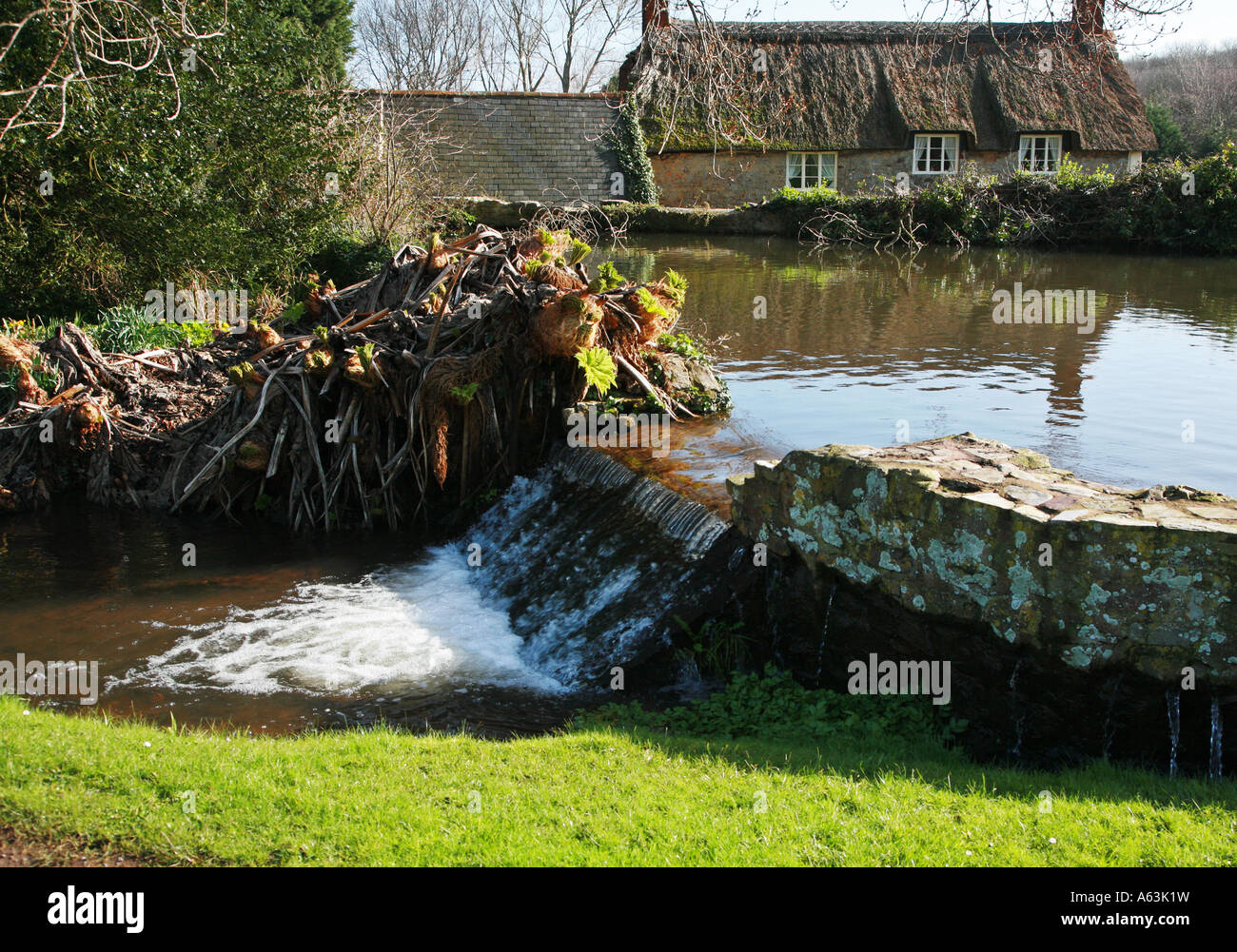 Village pond waterfall and thatched cottage in East Quantoxhead ...