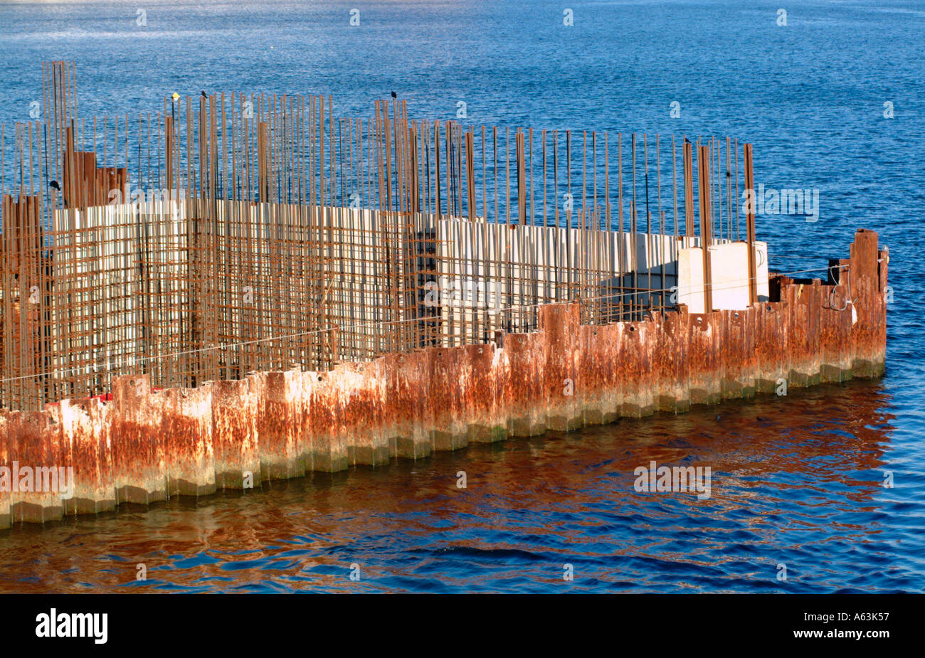 Rebar sticking up from an area blocked off from water For bridge ...
