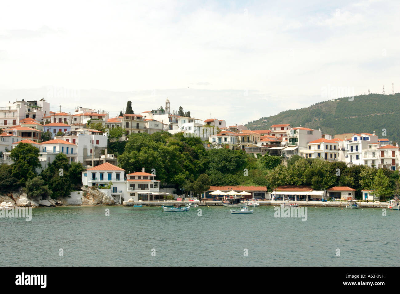 White waterfront houses on Cape Plakes in Skiathos town Skiathos island ...