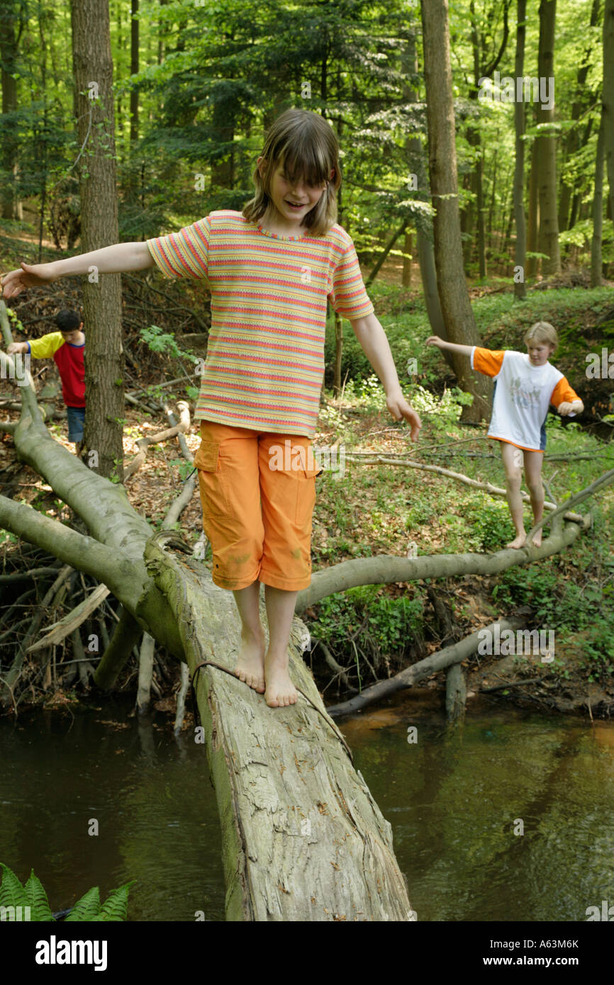 children walking over a tree which has fallen across a stream in a ...