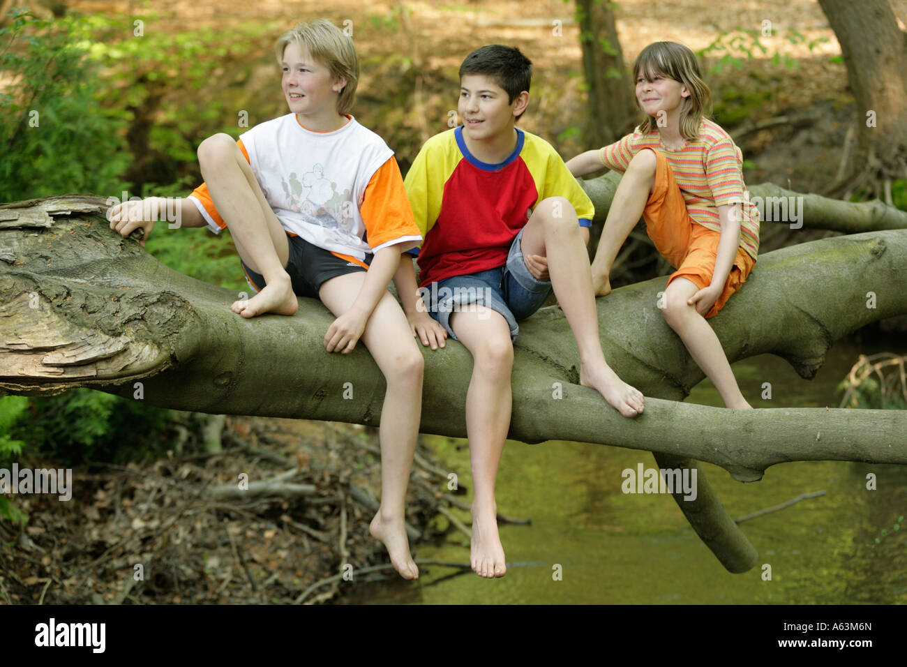 three happy children sitting on a tree which has fallen across a stream ...