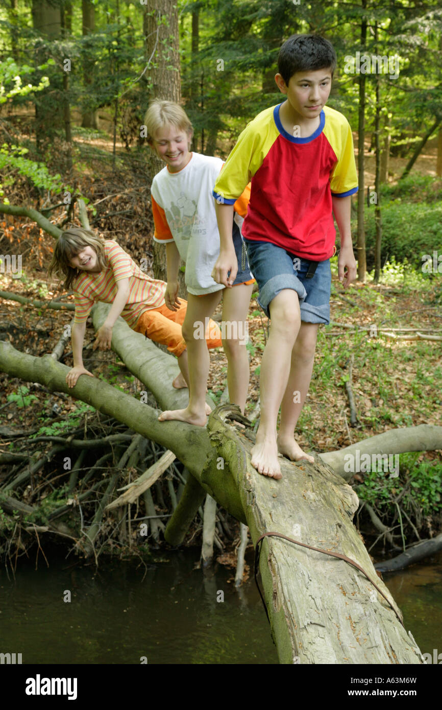 children walking along a tree which has fallen across a stream in a ...