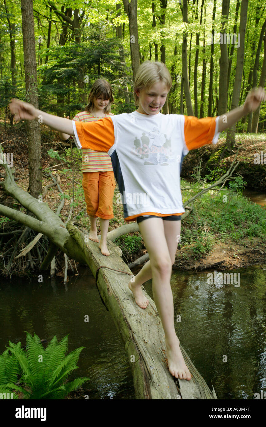 children walking over a tree which has fallen across a stream in a ...