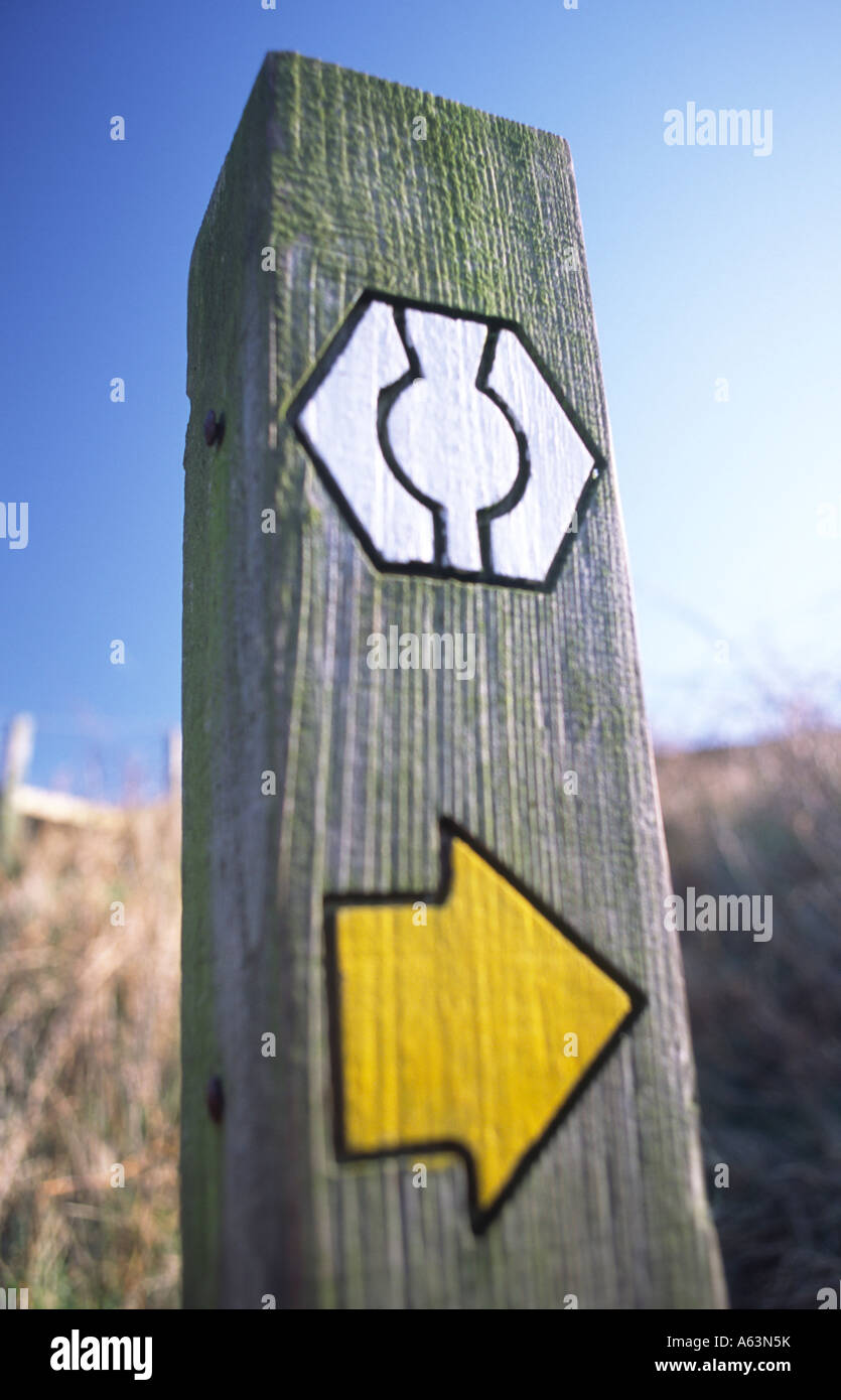 Suw logo hi-res stock photography and images - Alamy