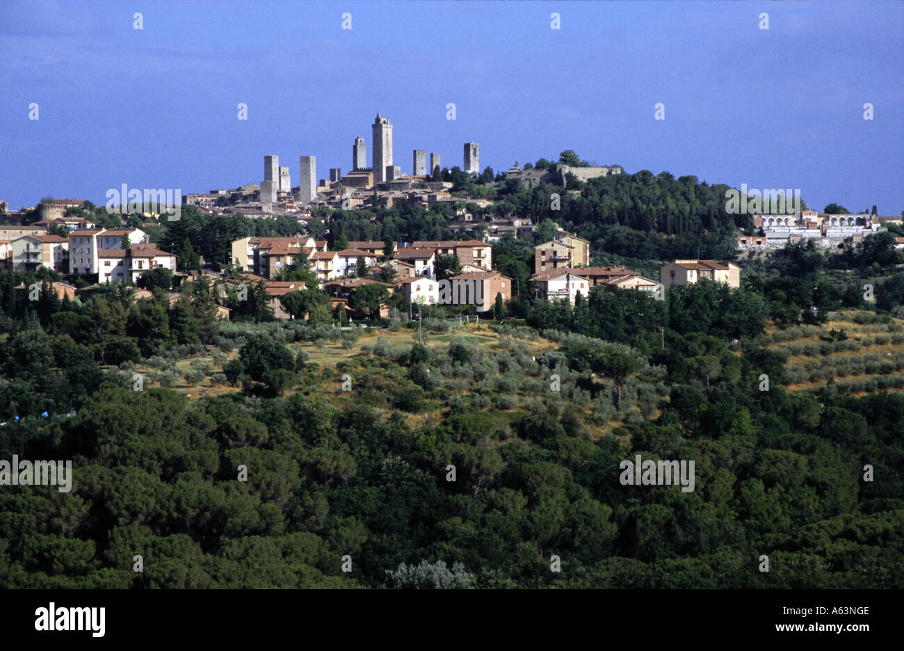 Trees on landscape with town in background, San Gimignano, Tuscany ...