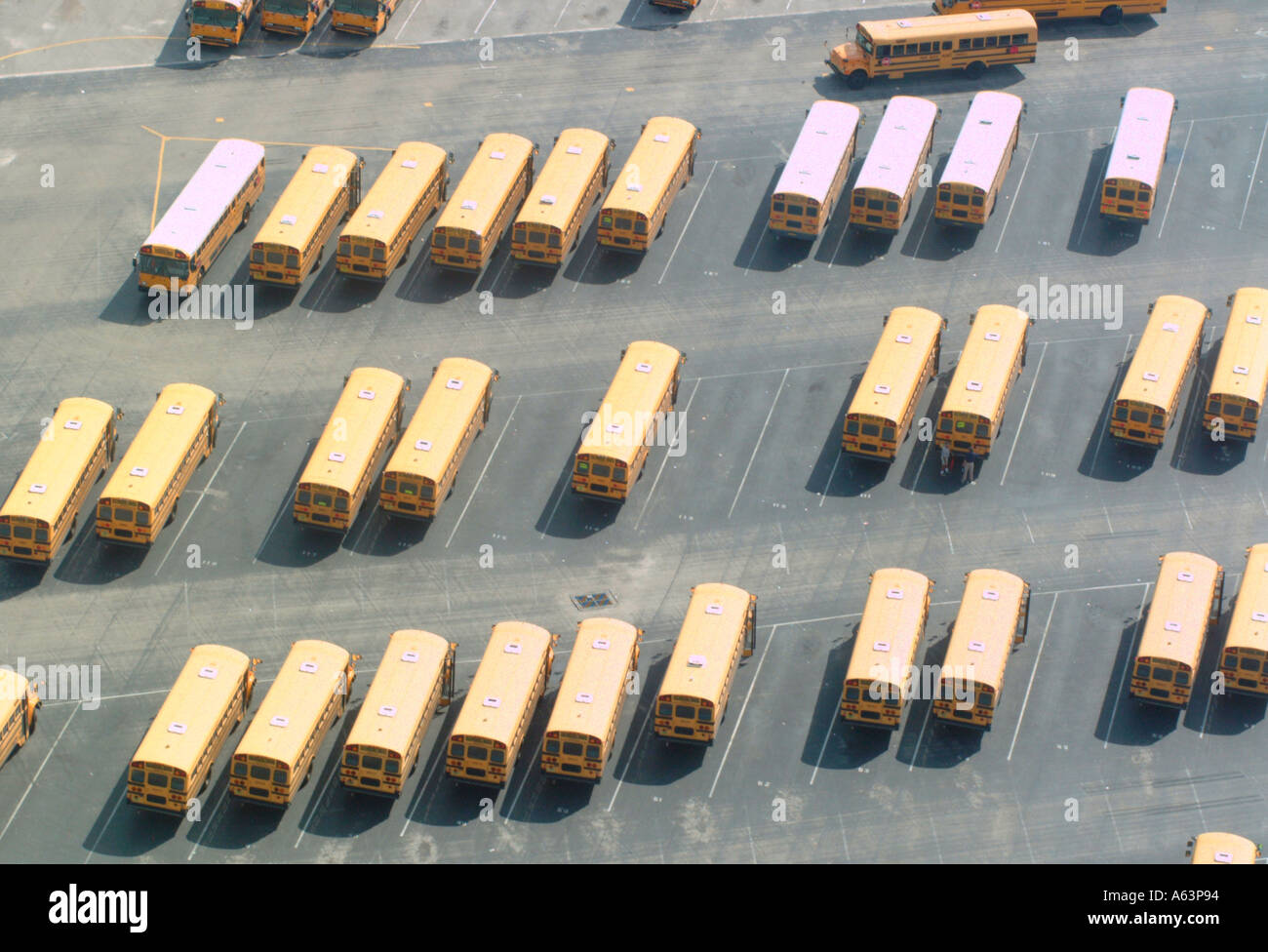school busses in parking lot transportation Stock Photo - Alamy