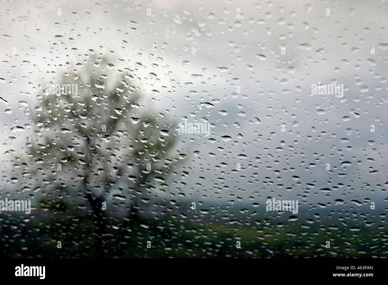 rain on a window with trees in distance Stock Photo - Alamy