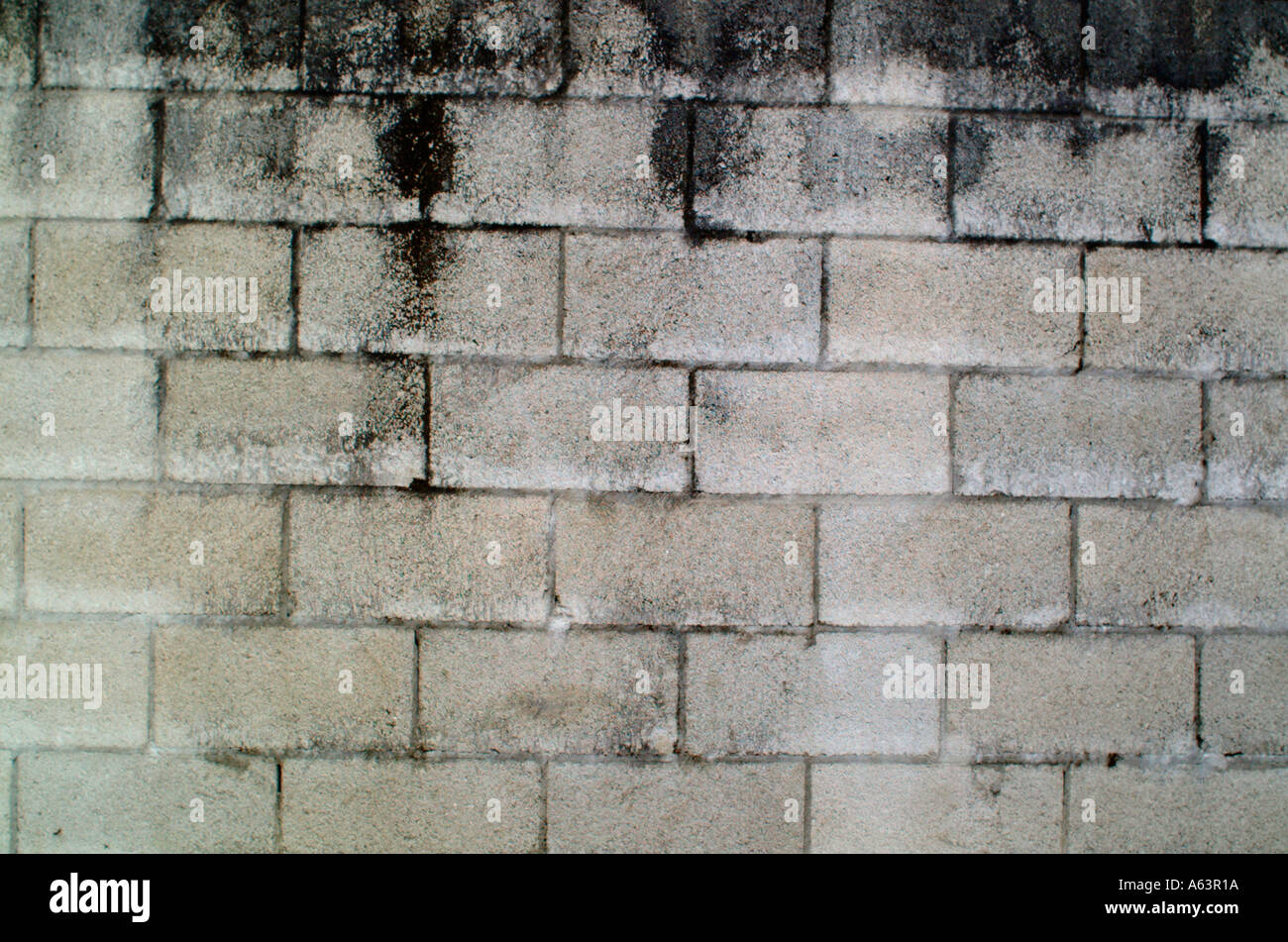 concrete block wall bricks mildew dirty backgrounds Stock Photo - Alamy