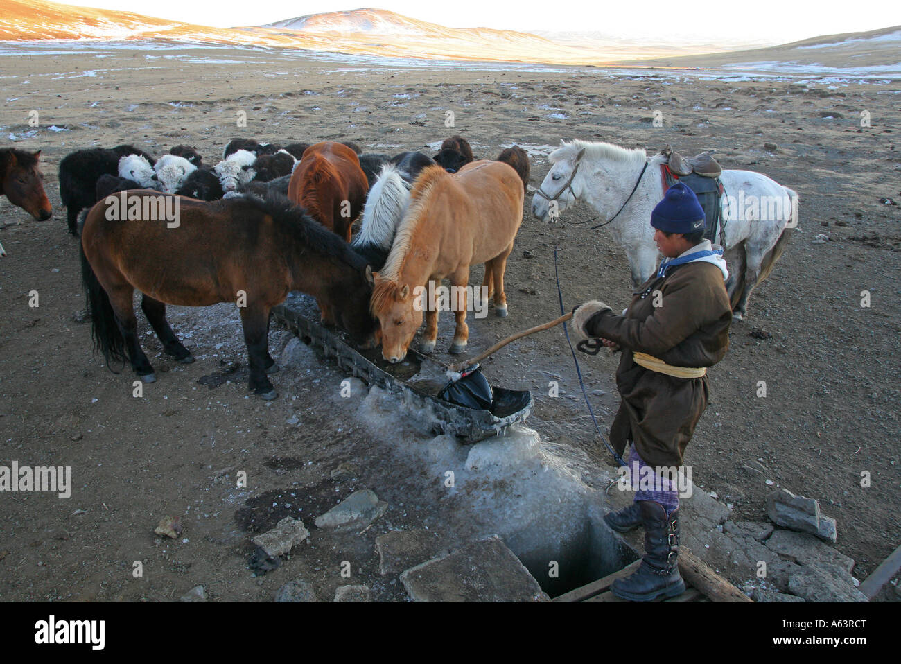 Mongolia - watering place in the stepps Stock Photo - Alamy