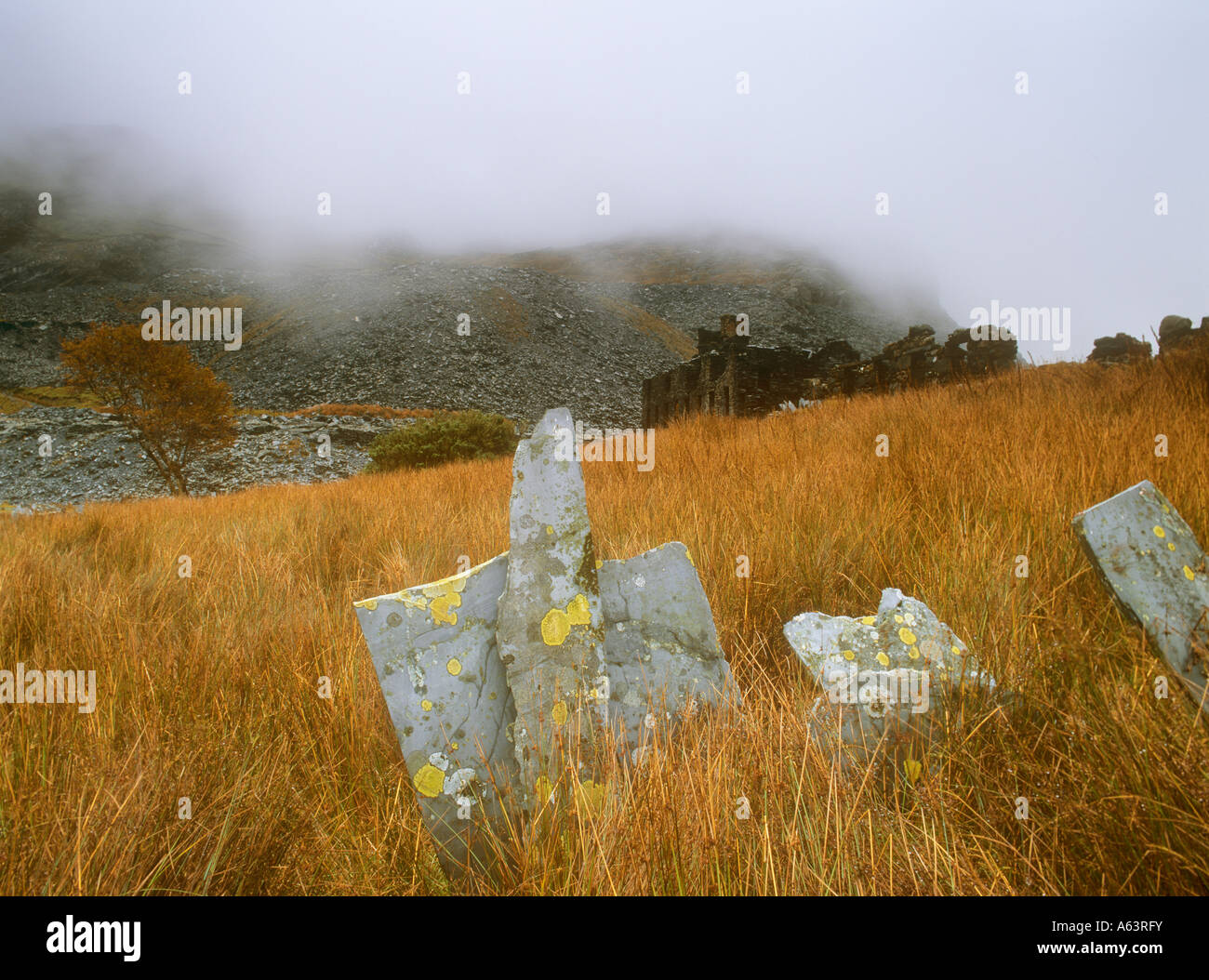 Cwm Orthin,Snowdonia National Park, North Wales, UK Stock Photo - Alamy