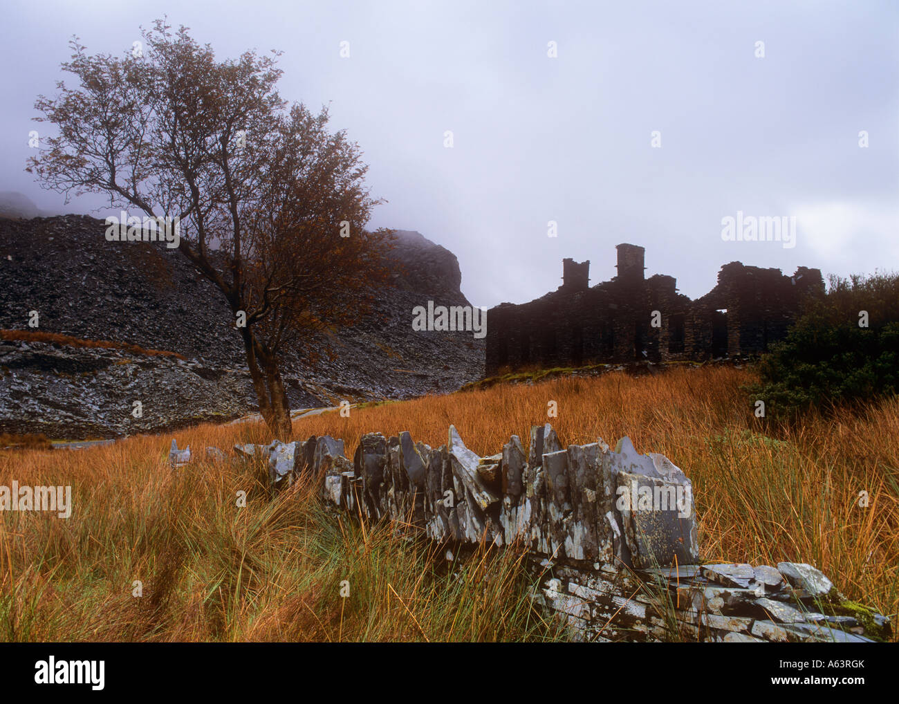 Cwm Orthin,Snowdonia National Park, North Wales, UK Stock Photo - Alamy