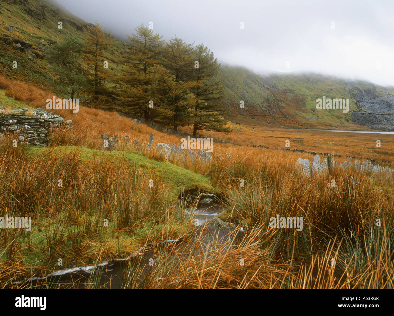 Cwm Orthin,Snowdonia National Park,North Wales, UK Stock Photo - Alamy
