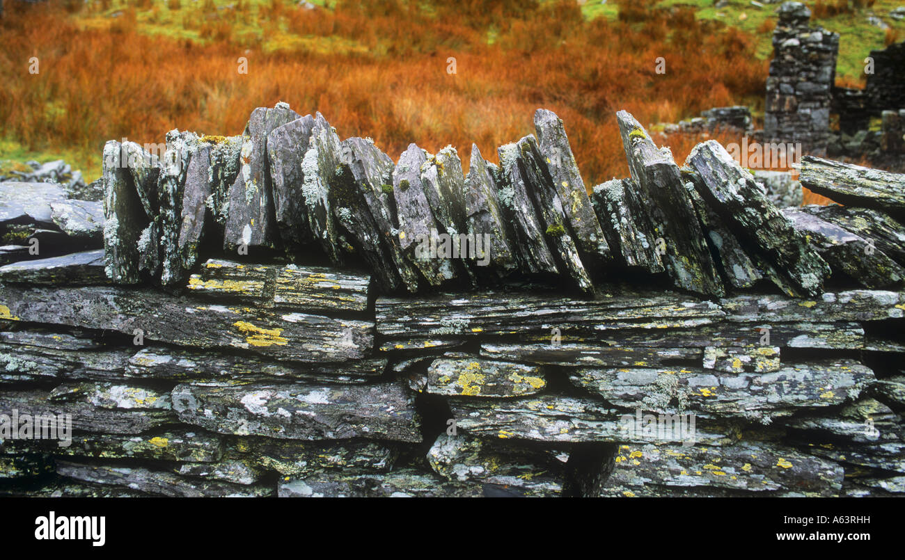 Cwm Orthin,Snowdonia National Park,North Wales, UK Stock Photo - Alamy