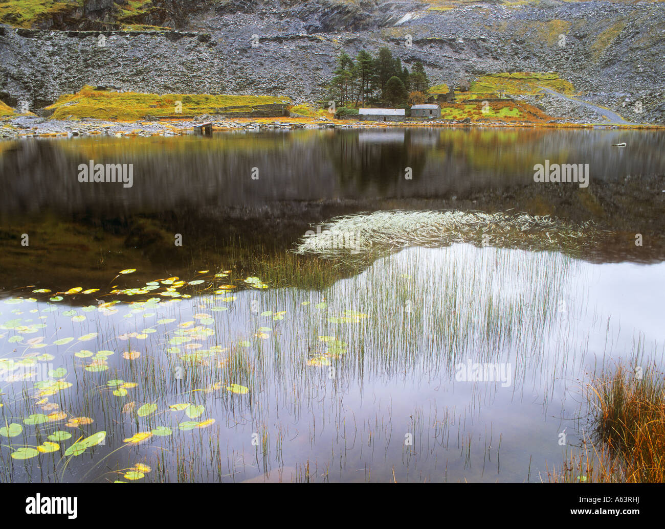 Cwm Orthin,Snowdonia National Park,North Wales, UK Stock Photo - Alamy