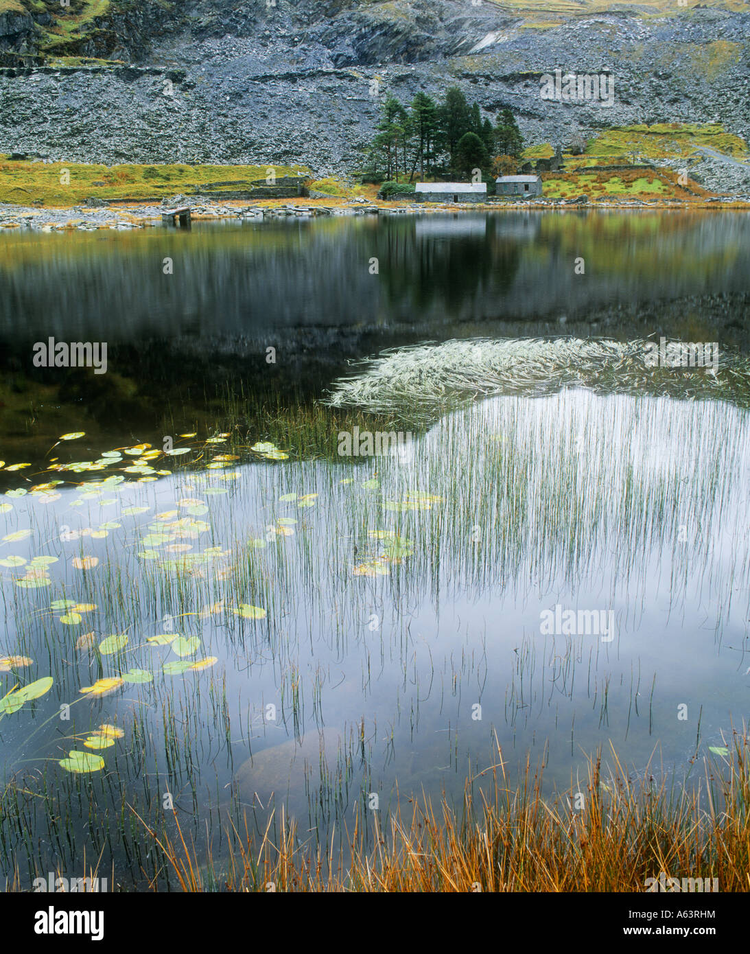 Cwm Orthin,Snowdonia National Park,North Wales, UK Stock Photo - Alamy
