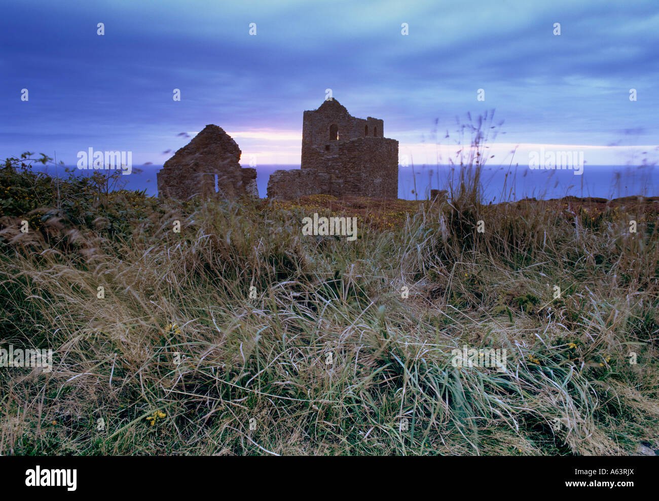 Wheal Coates Engine House Stock Photo - Alamy