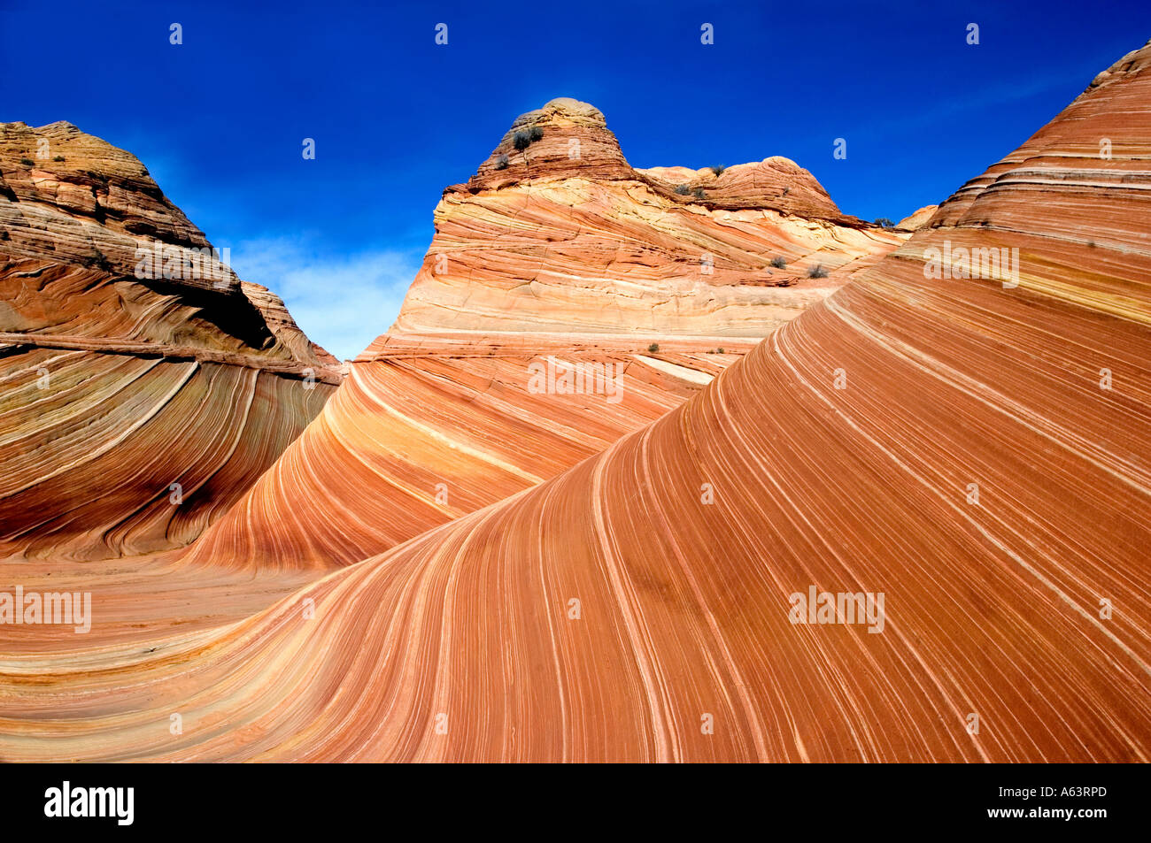 "The wave" in Pariah Canyon Stock Photo - Alamy