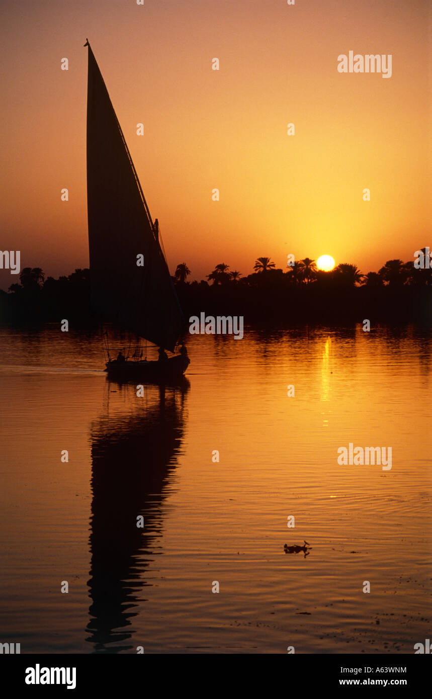 sailboat felucca at sunset nile river egypt Stock Photo - Alamy