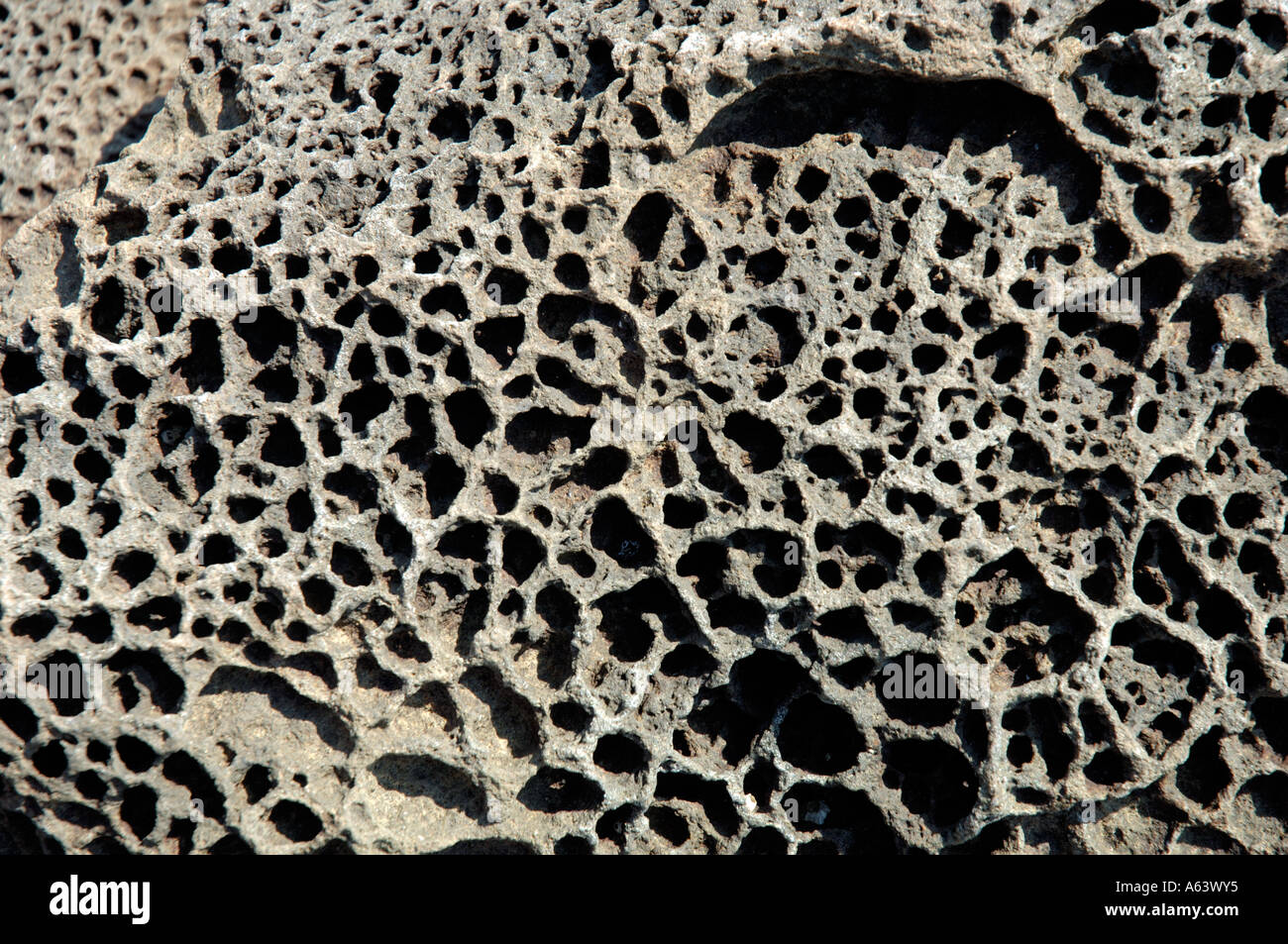 Weathered rock pattern formed by waves Stock Photo - Alamy