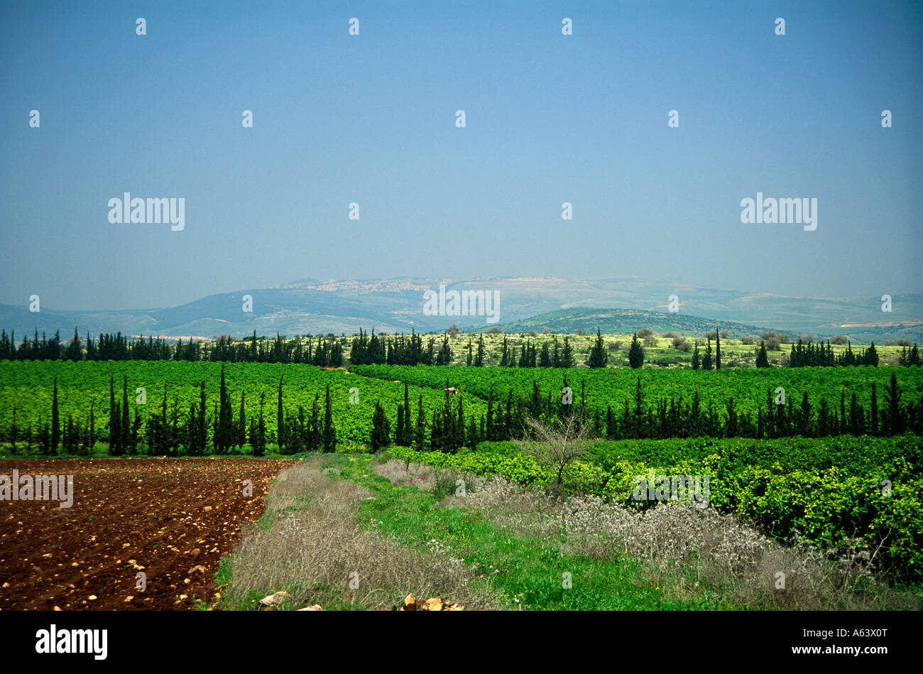 Kultur israel hi-res stock photography and images - Alamy