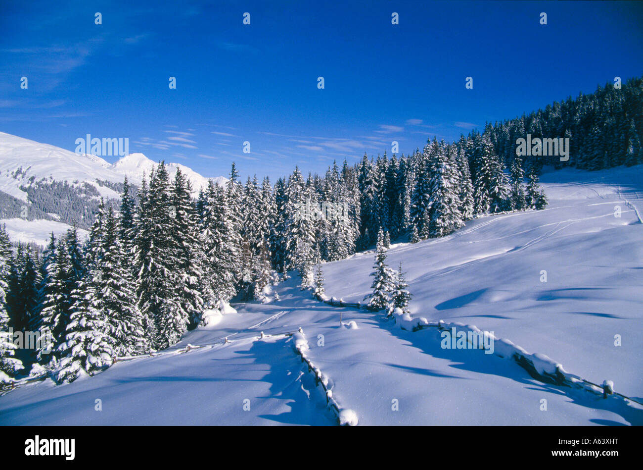 snow covered scenery near resort of davos landwasser valley swiss alpes ...