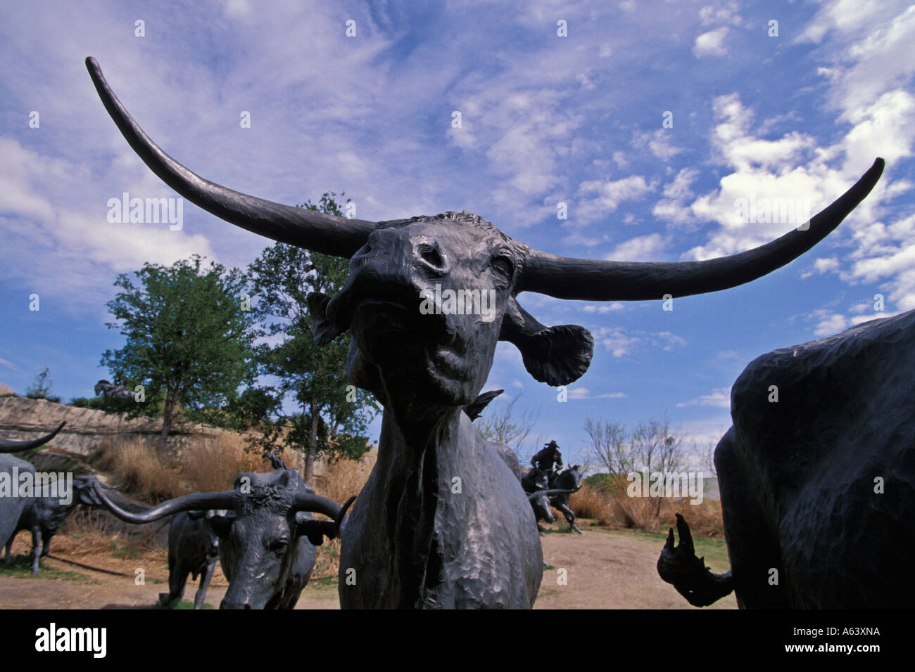 Texas longhorn sculpture hi-res stock photography and images - Alamy
