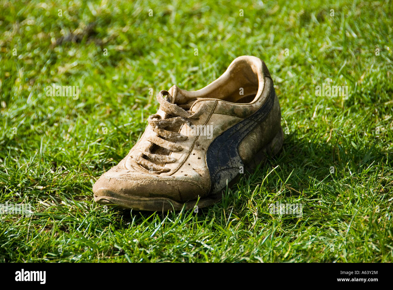 An Abandoned Trainer Stock Photo - Alamy