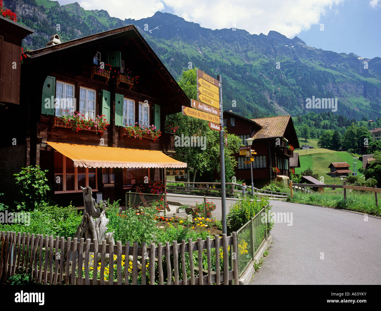 traditional timber house village of wengen region of bernese highland ...