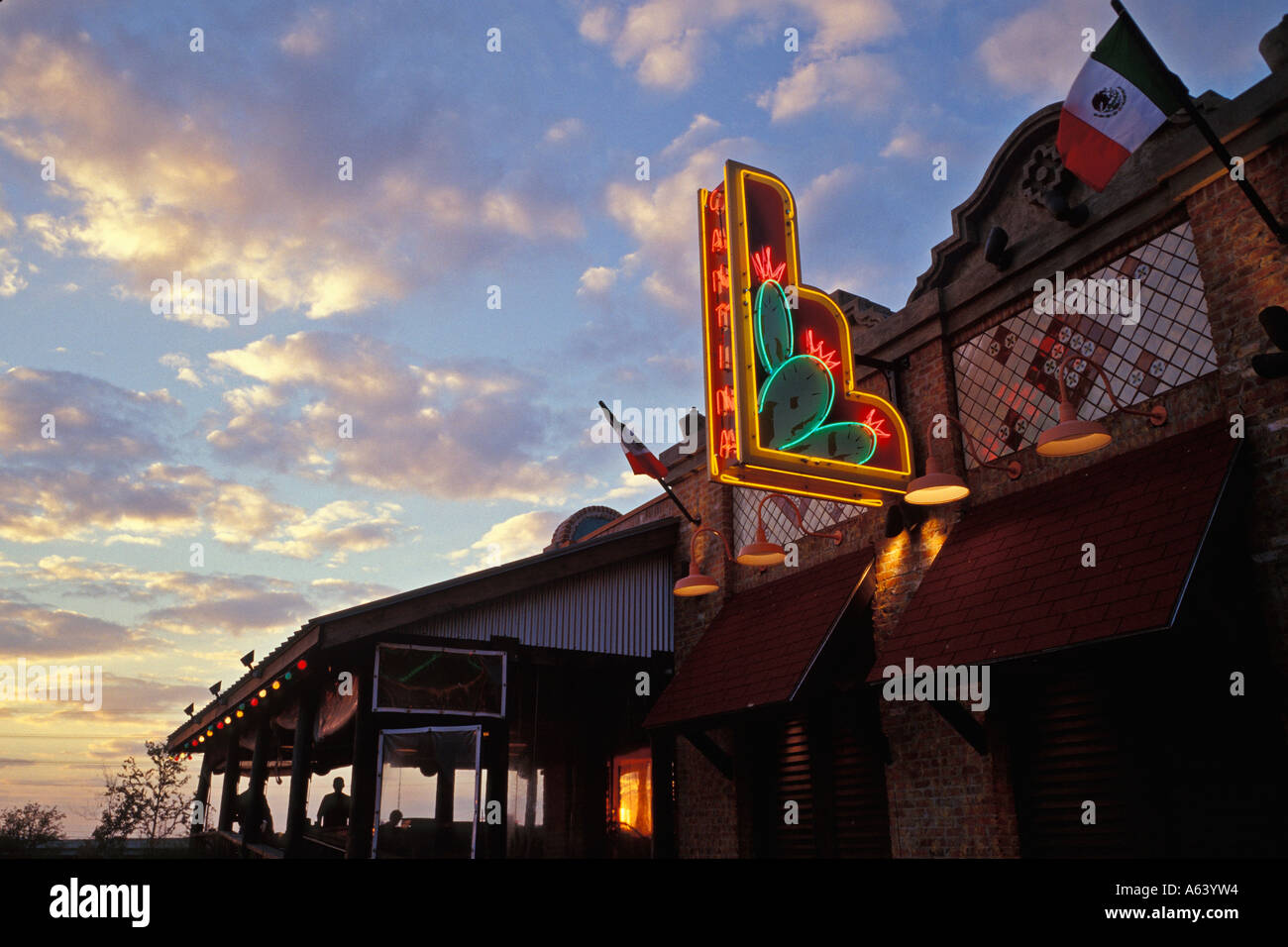 Neon Cactus Sign Above Entrance Of Mexican Restaurant With Cumulus ...