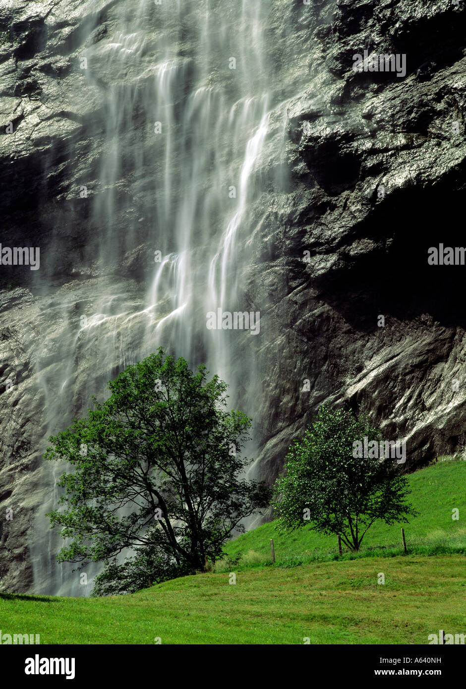 staubbach fall at lauterbrunnen valley region of bernese highland swiss ...