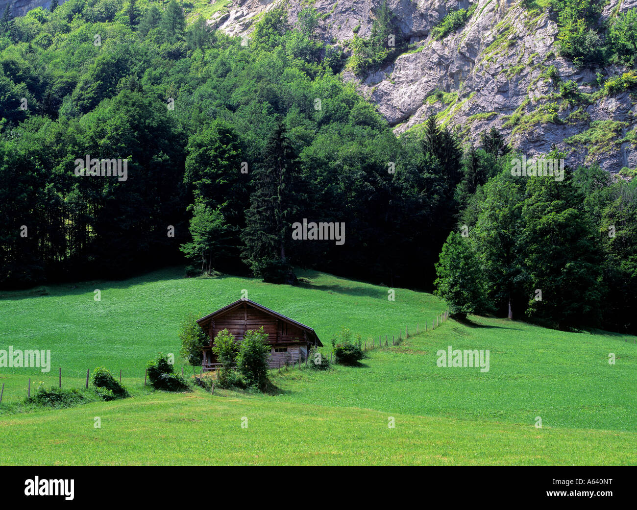 shed on mountain pasture at lauterbrunnen valley region of bernese ...