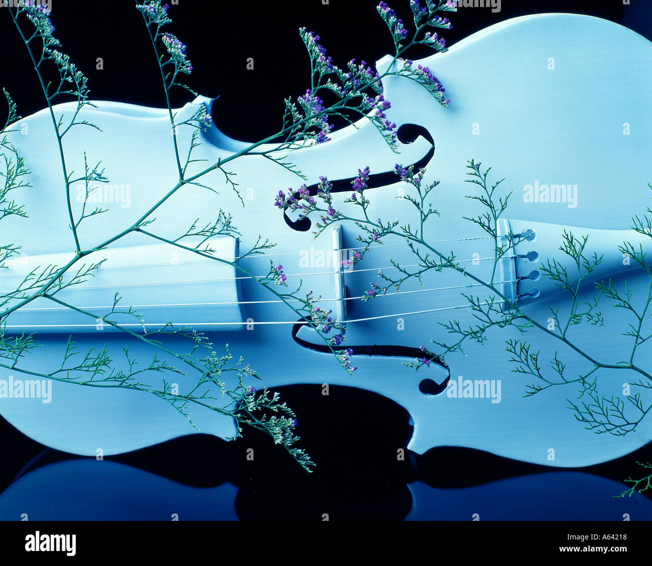 Violin and flowers Stock Photo - Alamy