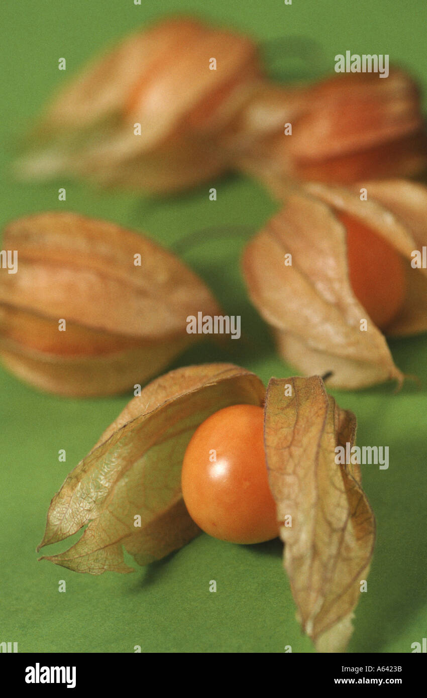 Bladder cherries hi-res stock photography and images - Alamy