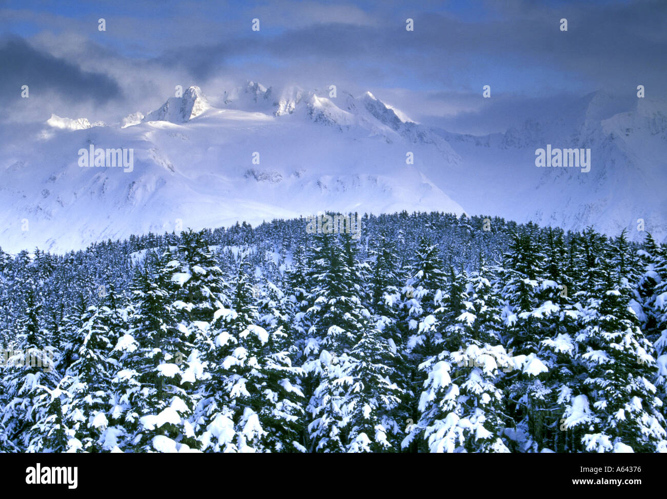 Beautiful serene winter landscape features hi-res stock photography and ...