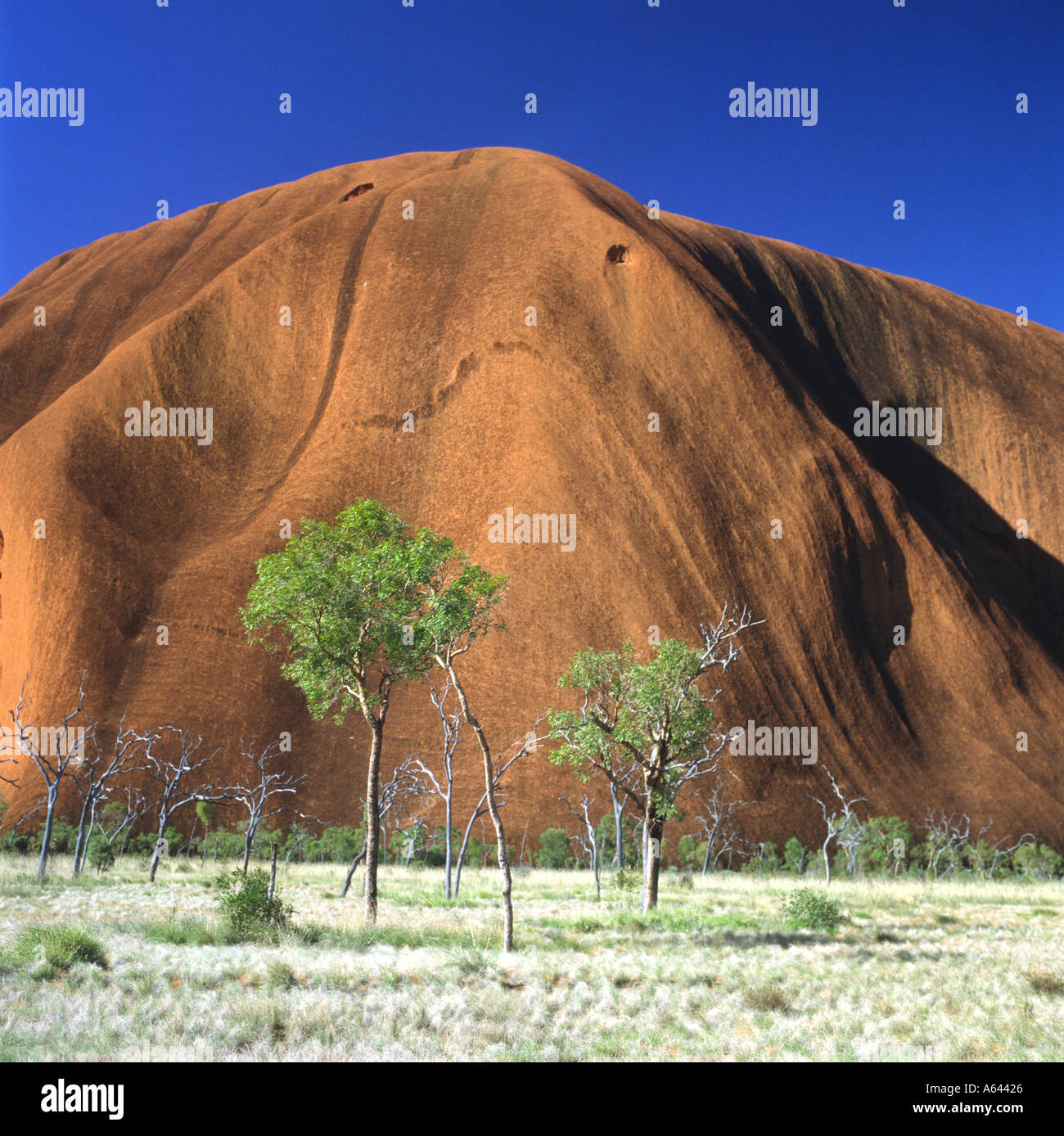 Ayers Rock in the Australian Outback Stock Photo - Alamy