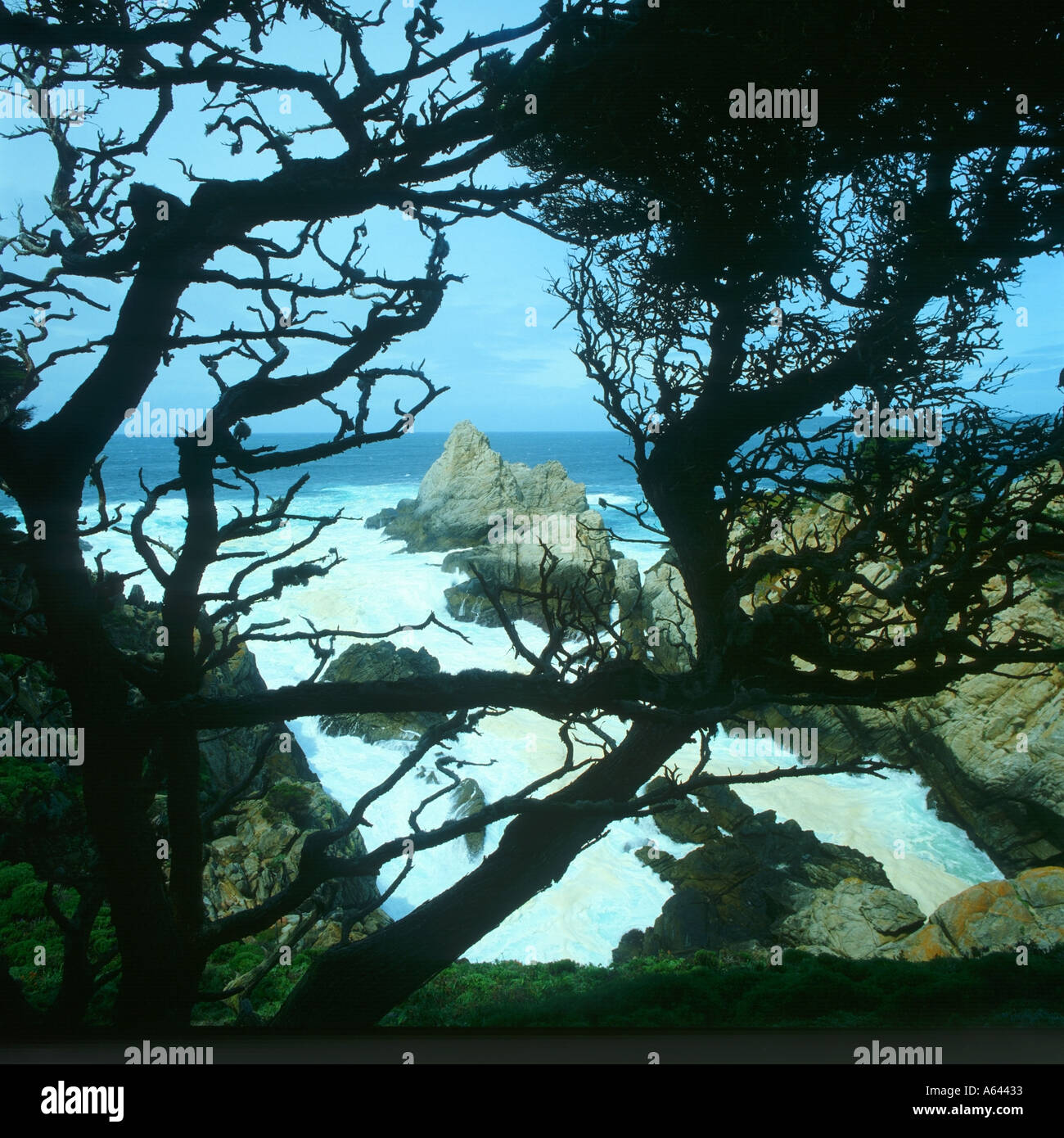 Point Lobos State Park Monterey California USA Stock Photo - Alamy