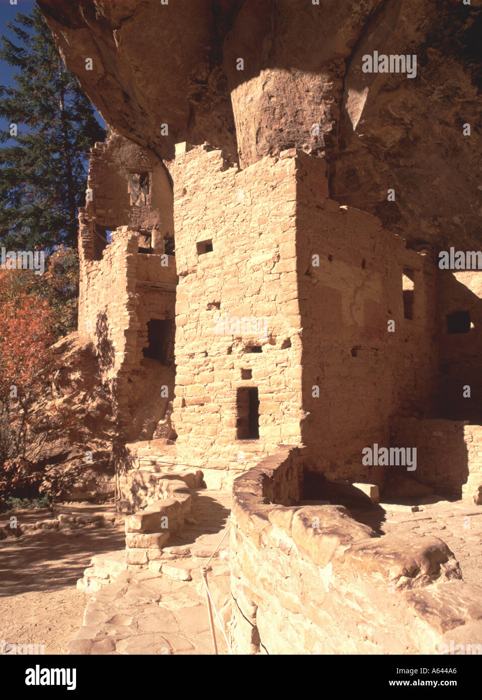 Spruce Tree House Mesa Verde tower Stock Photo - Alamy