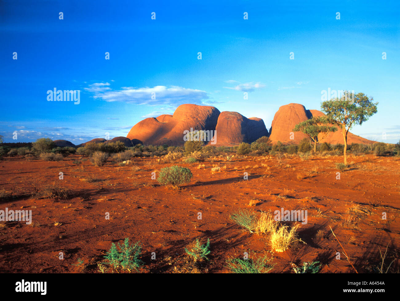 The Olgas Uluru Kata Tjuta National Park Northern Territory Australia ...