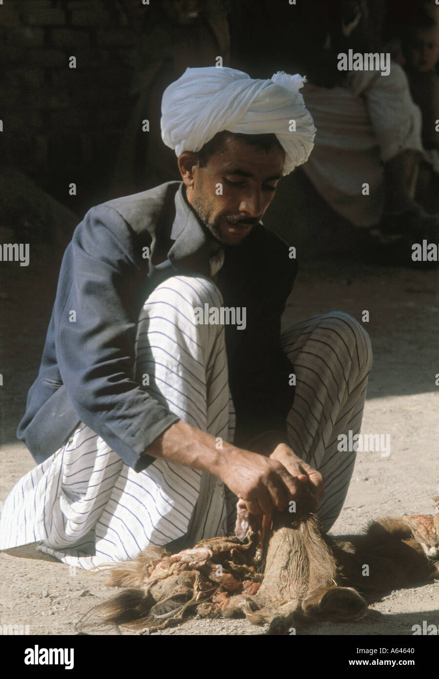 Skinning Goat High Resolution Stock Photography and Images - Alamy