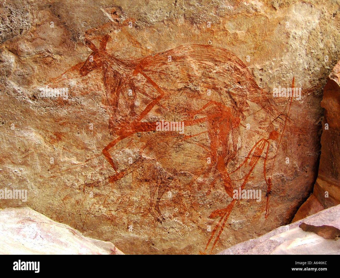 Rock painting of a kangaroo, Kakadu National Park, Northern Territory ...