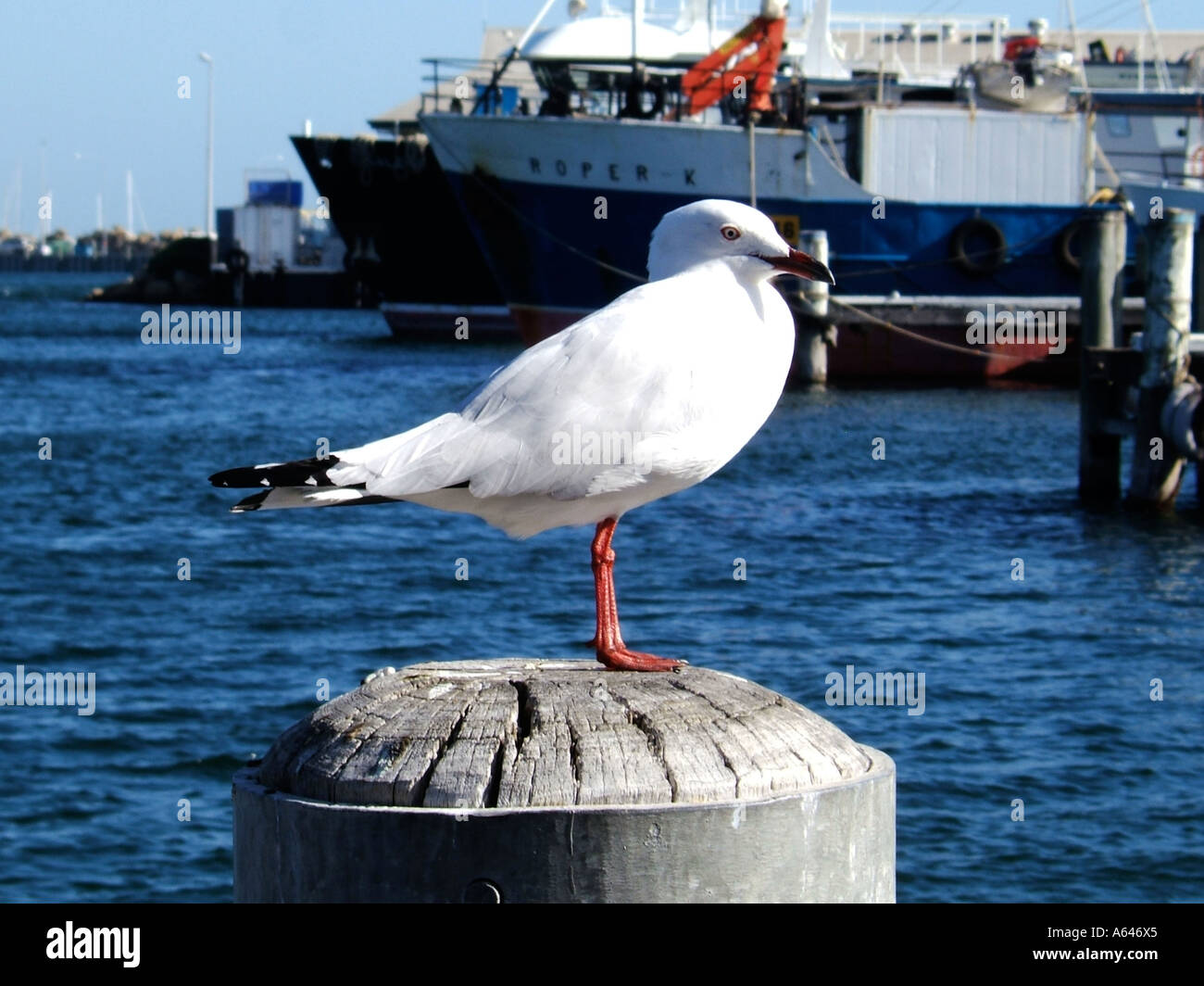 Perth port australia hi-res stock photography and images - Alamy