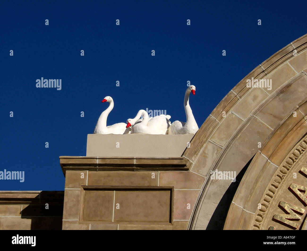 Fremantle perth train hi-res stock photography and images - Alamy