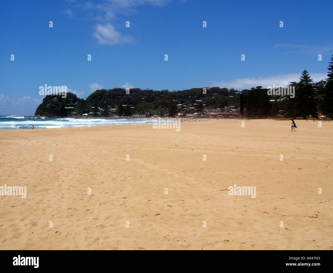 Terrigal beach New South Wales, Australia Stock Photo - Alamy