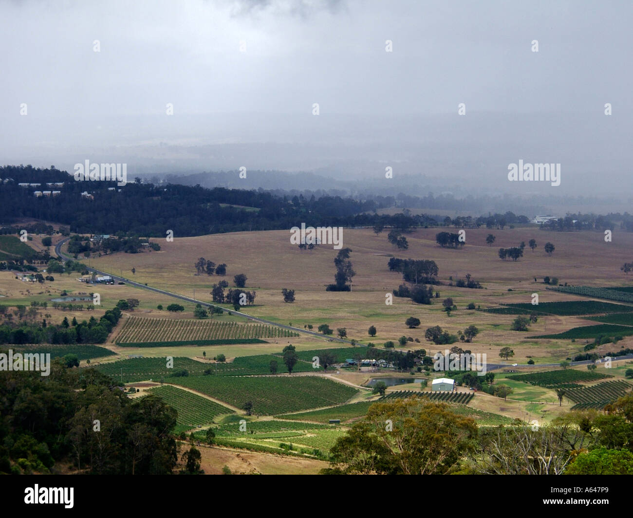 Hunter valley wines new south hi-res stock photography and images - Alamy