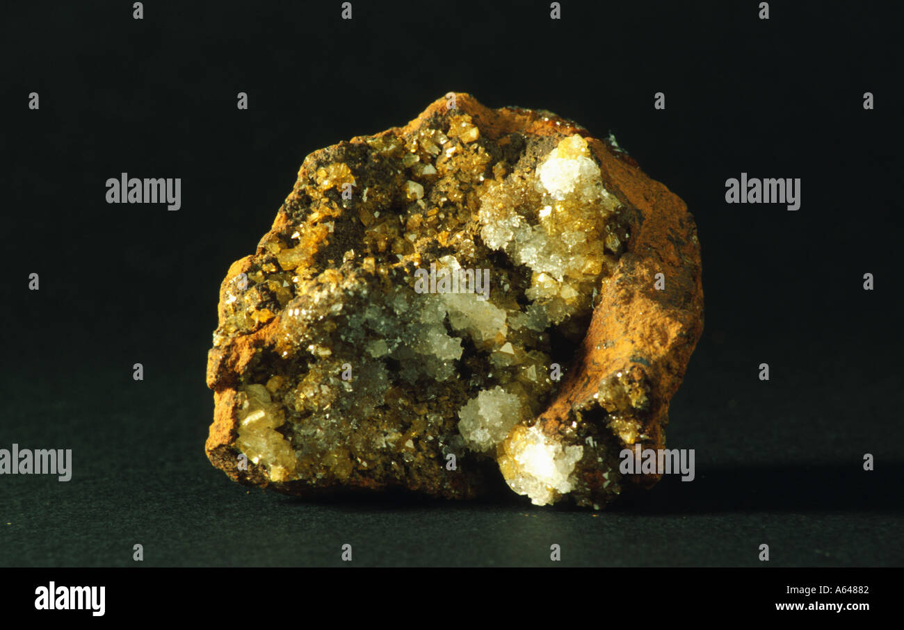 Adamin hi-res stock photography and images - Alamy