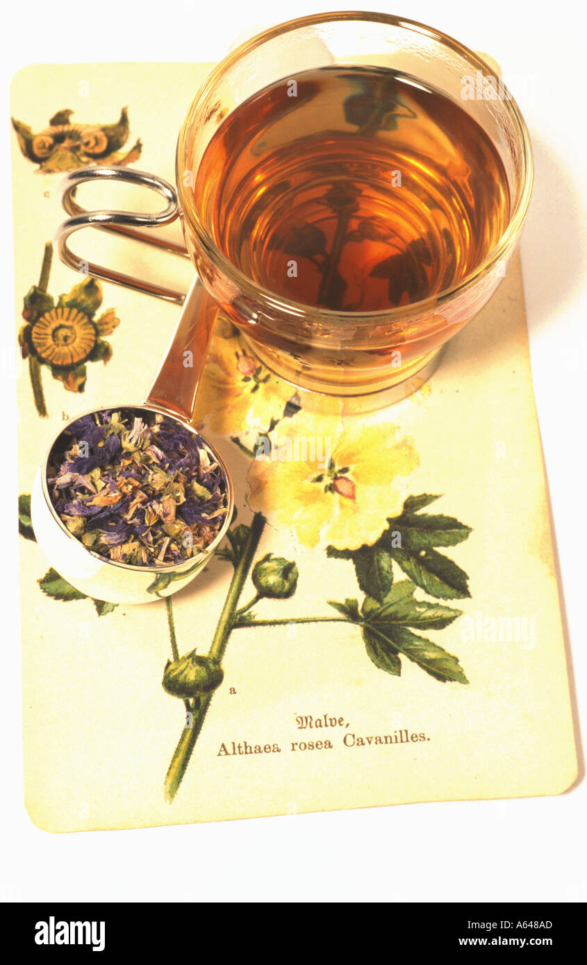 Common mallow hi-res stock photography and images - Alamy