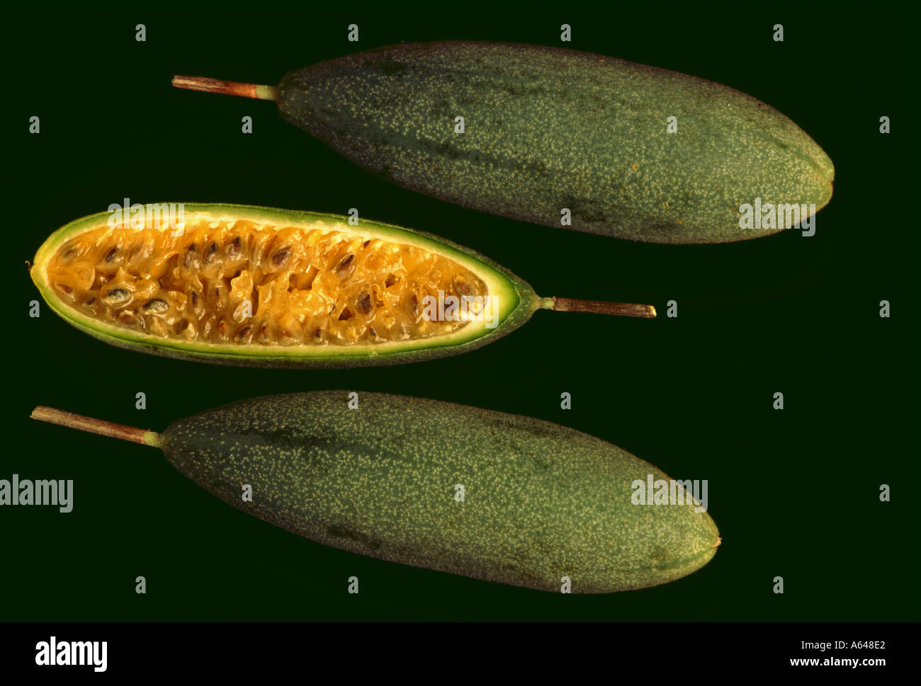 Food Fruits exotic fruits Curuba Passiflora mollissima Stock Photo - Alamy