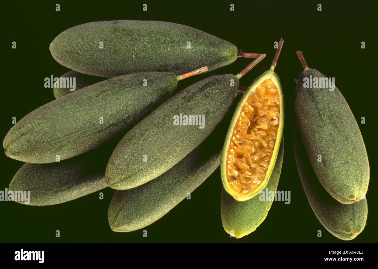 Curuba hi-res stock photography and images - Alamy