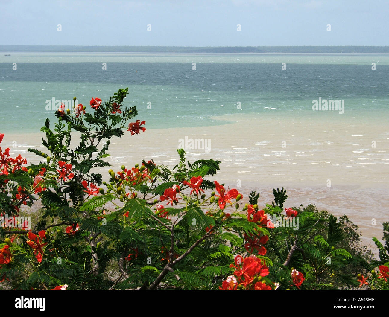 Darwin northern Territory Australia Stock Photo - Alamy